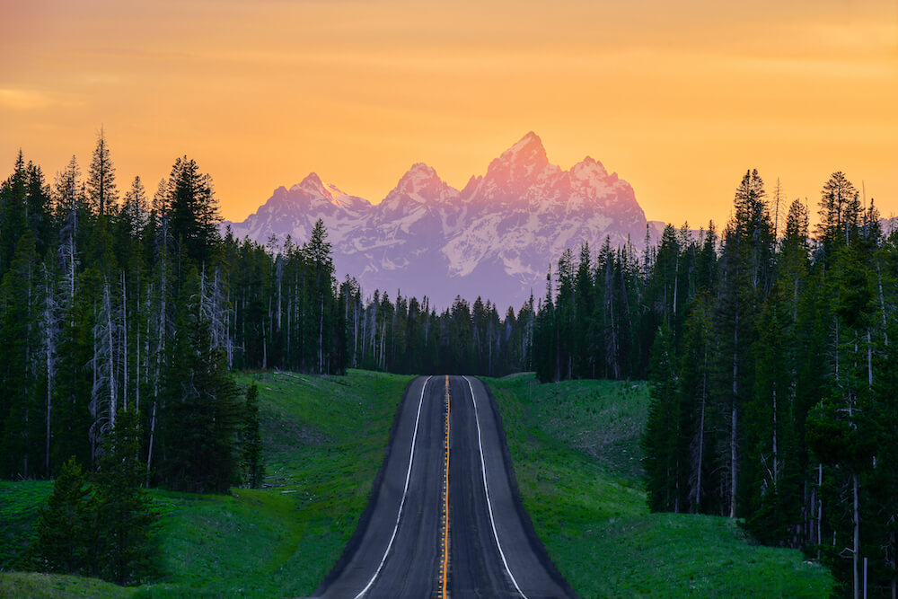 Home | Josh Packer Photography